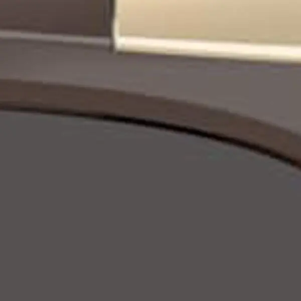 Burberry Injected Be4451u Rectangle Sunglasses