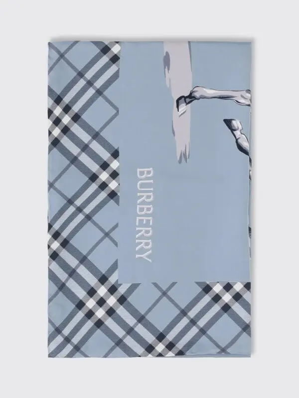 Burberry Scarf - Blue