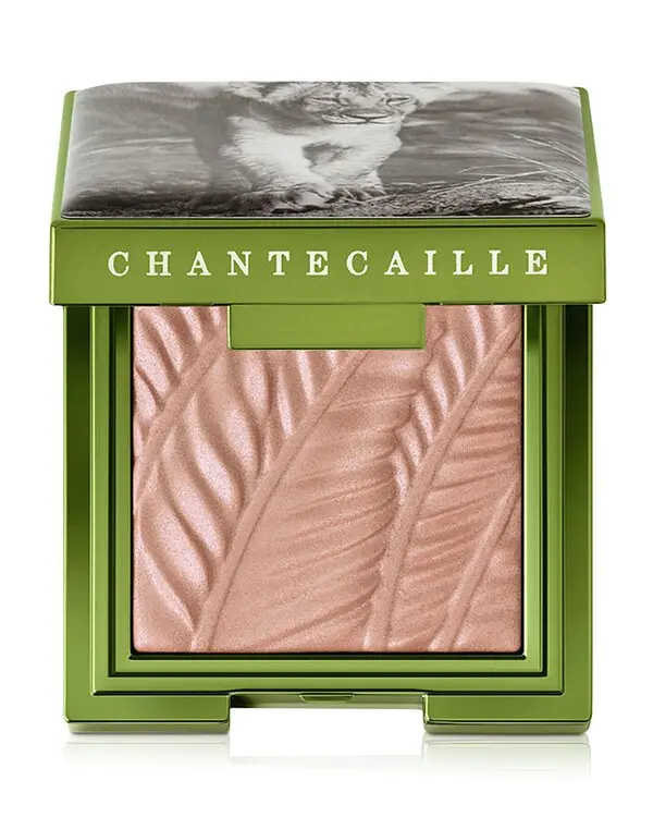CHANTECAILLE Limited Edition Matte Eye Shade - Narika