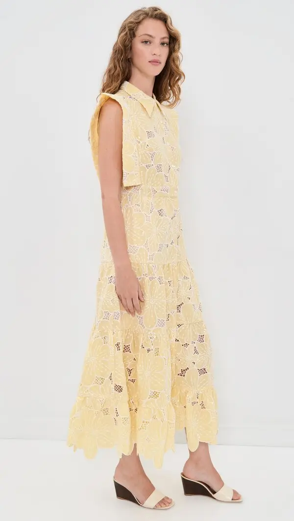 Celiab Vian Dress