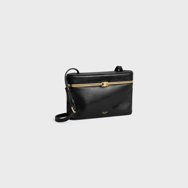 Celine Triomphe Frame Lizard Bag