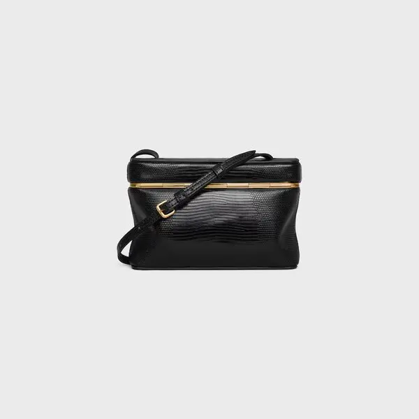 Celine Triomphe Frame Lizard Bag