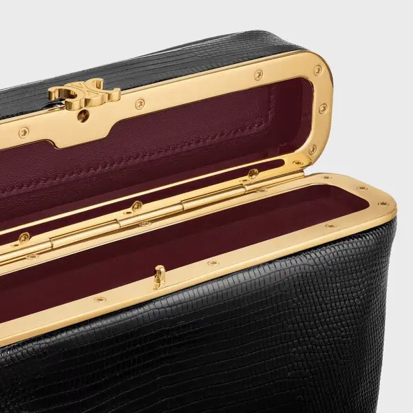 Celine Triomphe Frame Lizard Bag