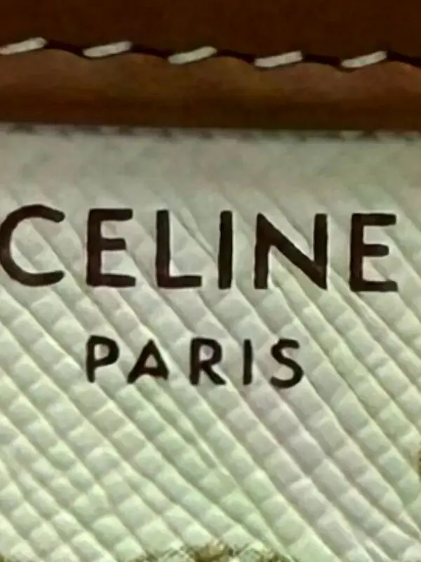 Celine Triomphe Coated Canvas Clutch On Chain Crossbody Bag - White