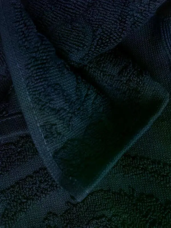 Etro Paisley Pegasus Towels Set