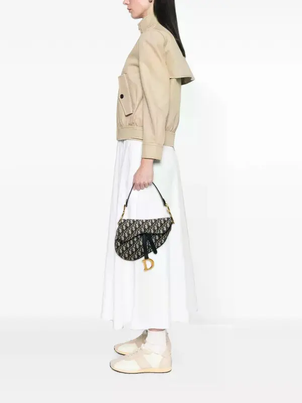 Dior 2019 Oblique Canvas Saddle Bag Shoulder Bag
