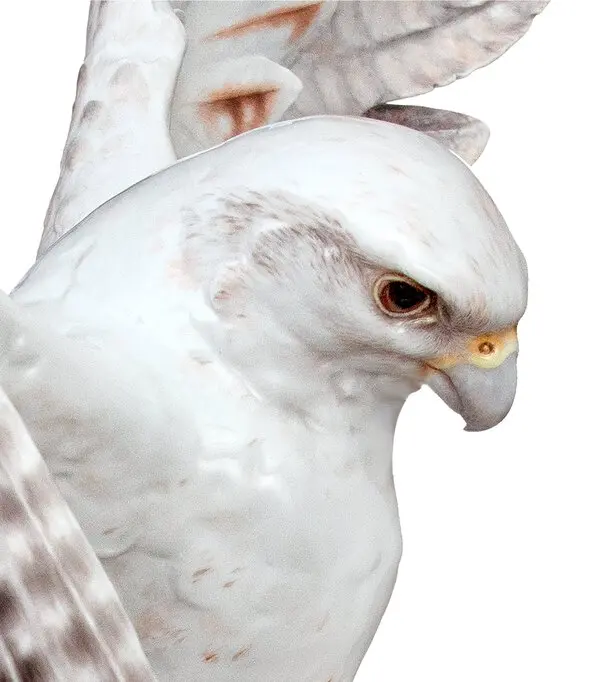 MEISSEN Gold-trim Porcelain Falcon