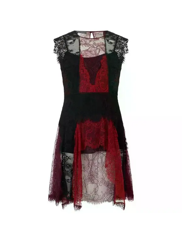 Alberta Ferretti Lace-panelled Asymmetric Flared Mini Dress