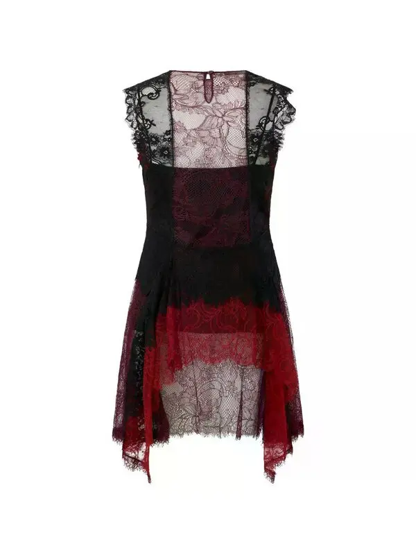 Alberta Ferretti Lace-panelled Asymmetric Flared Mini Dress