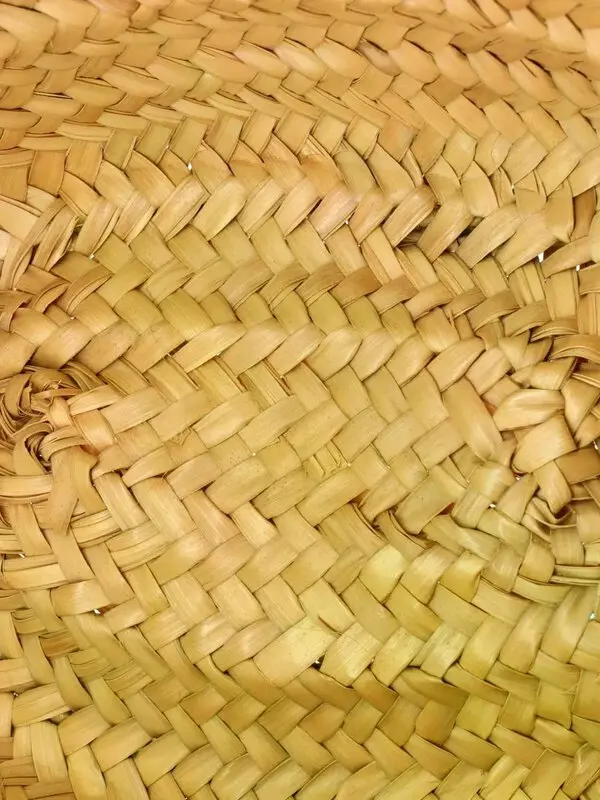Loewe Basket Raffia Small Tote Bag