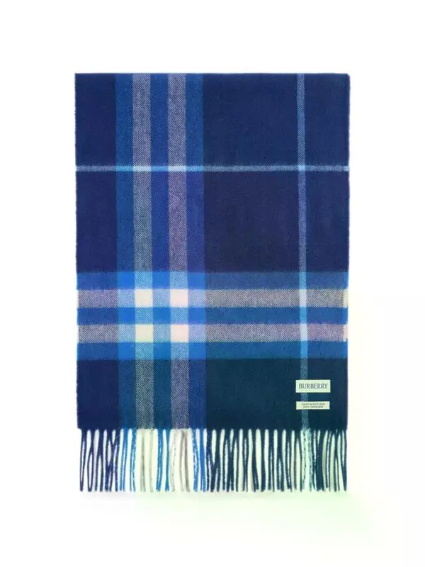 Burberry Patterned Scarf - Blue