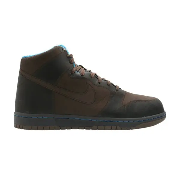 Nike Dunk Hi Gore-tex High Top Sneakers