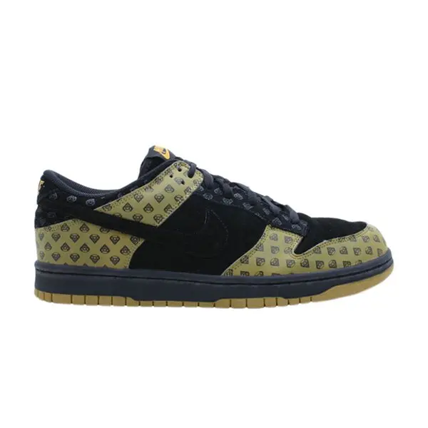 Nike Dunk Low Sneakers