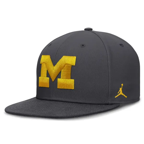 JORDAN Michigan Pro Dri-fit Fitted Cap - Grey