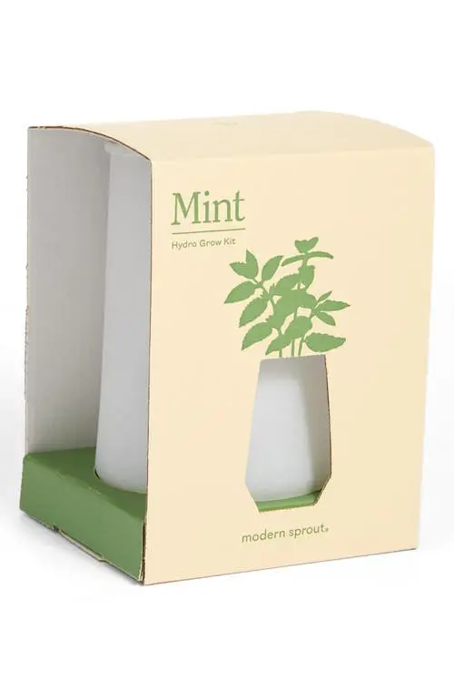 MODERN SPROUT Tapered Tumbler - Mint