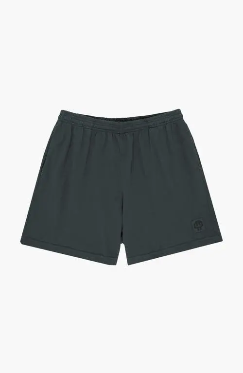 EVERYBODY.WORLD Everyday Shorts