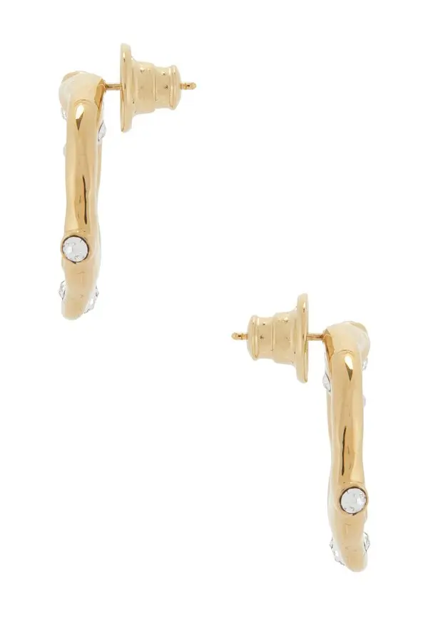 Dries Van Noten Organic Surface Crystal Earrings