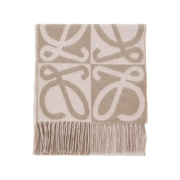 Loewe Wool And Cashmere Scarf - Multicolor