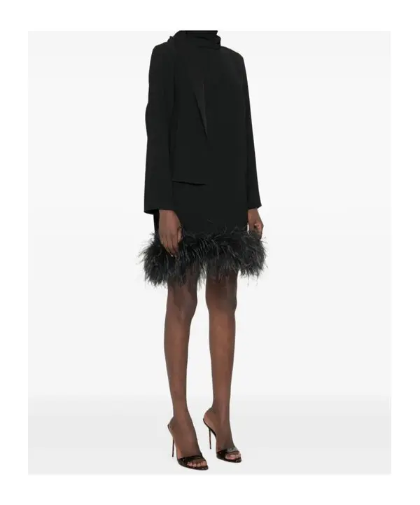 P.a.r.o.s.h Feather Trim Dress