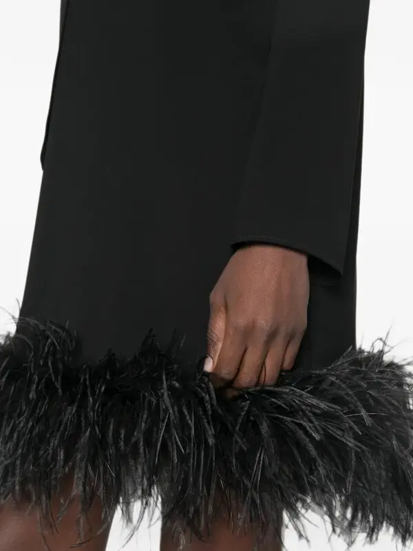 P.a.r.o.s.h Feather Trim Dress