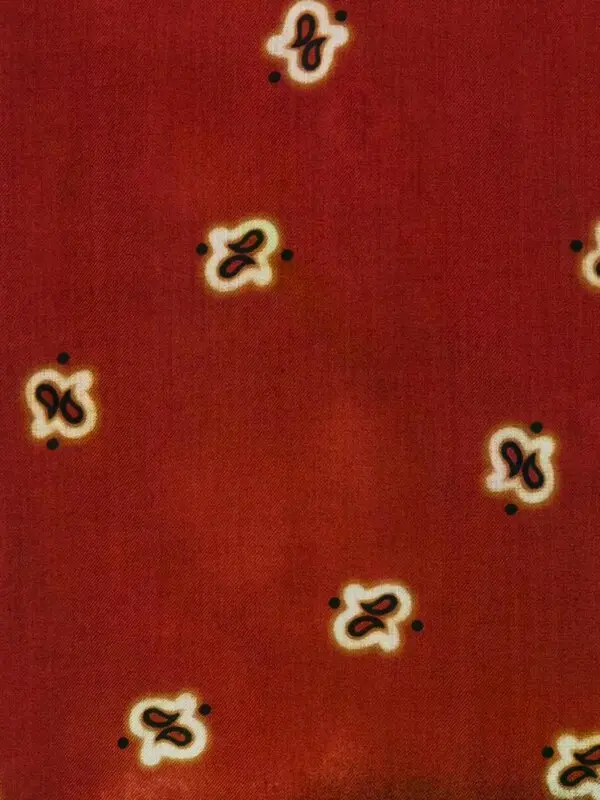 Destin Paisley-print Frayed Scarf