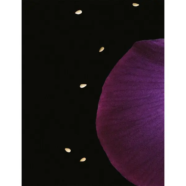 Dries Van Noten Velvet Violet Eau De Parfum