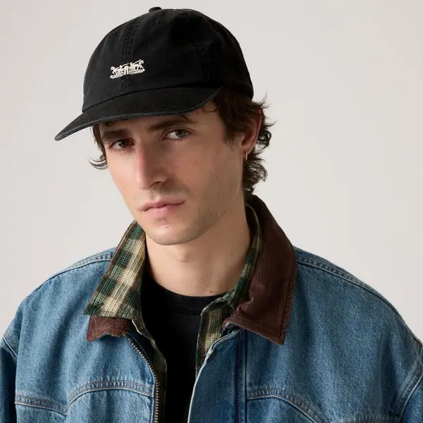 LEVI'S Rockridge Dad Cap