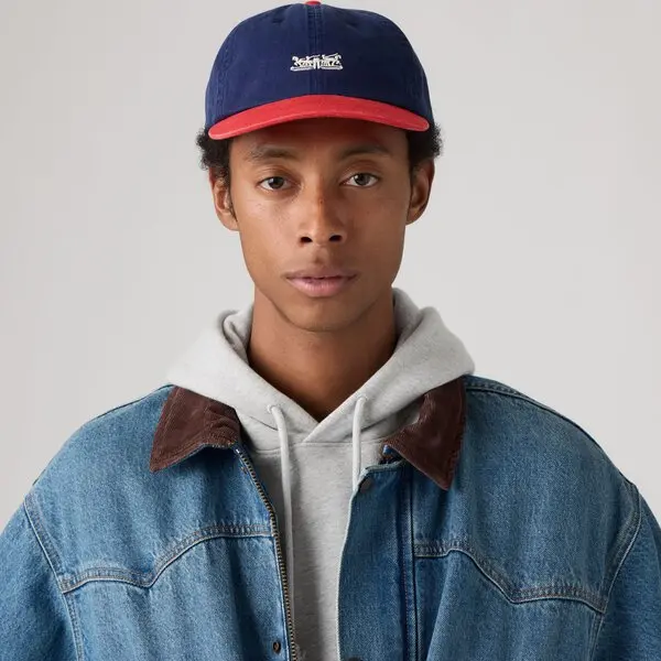 LEVI'S Rockridge Dad Cap