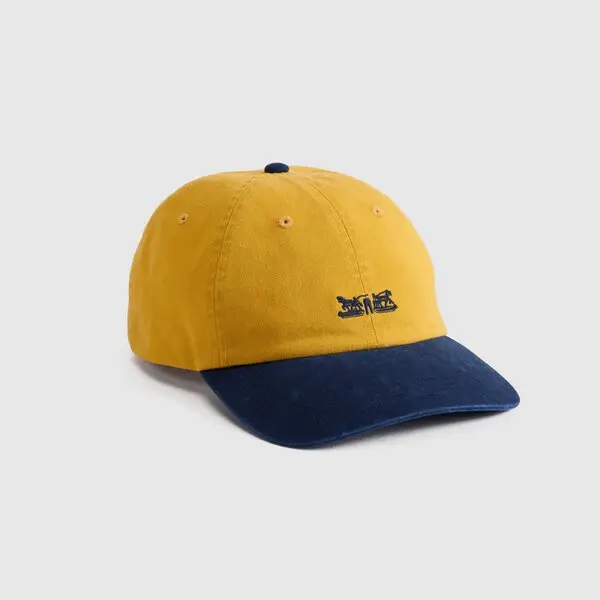 LEVI'S Rockridge Dad Cap