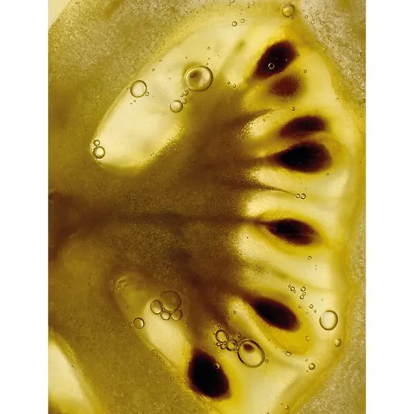 Loewe Tomato Leaves Hand Cream