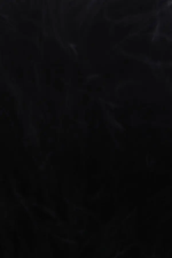 YVES SALOMON Single-breasted Feather Jacket - Black