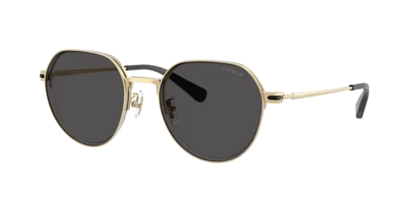 COACH Sunglass Cae81 - Grey Solid