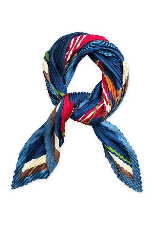 WILD COSMOS Cecilia Plissé Petit Scarf
