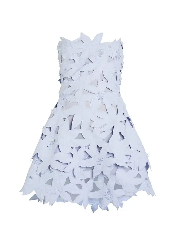 Simkhai Miri Floral-cutwork Woven Mini Dress