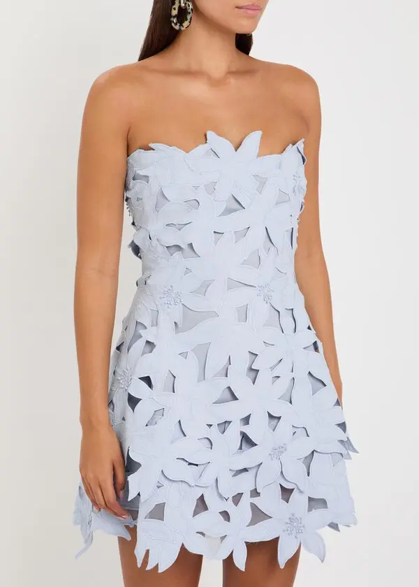 Simkhai Miri Floral-cutwork Woven Mini Dress