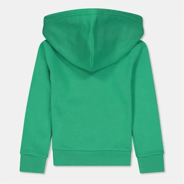 Polo Ralph Lauren Logo Hoodie