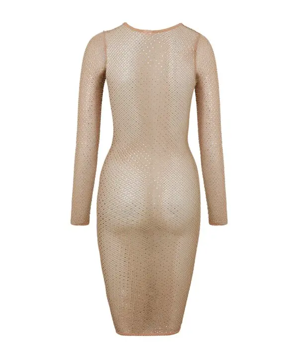 Balenciaga Long Sleeve Crew Neck Sheer Dress