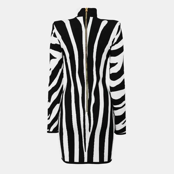 Balmain Zebra Print Mini Dress With Zip Up