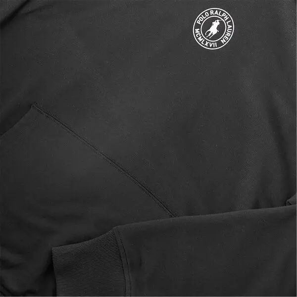 Polo Ralph Lauren Logo Hoodie