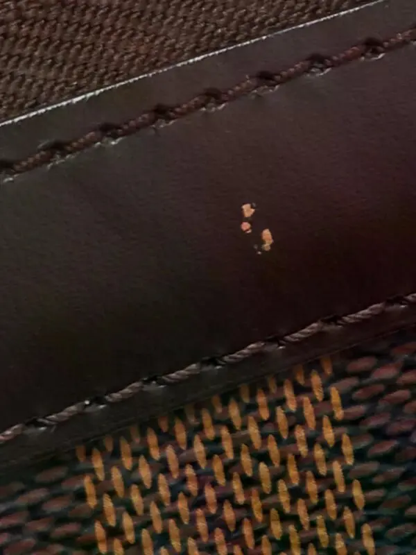 LOUIS VUITTON 2009 Gm Damier Ebene Trevi Tote Bag