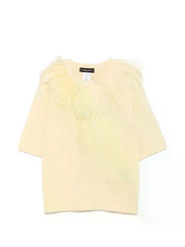 Fabiana Filippi Feather Trim Short Sleeve Sweater