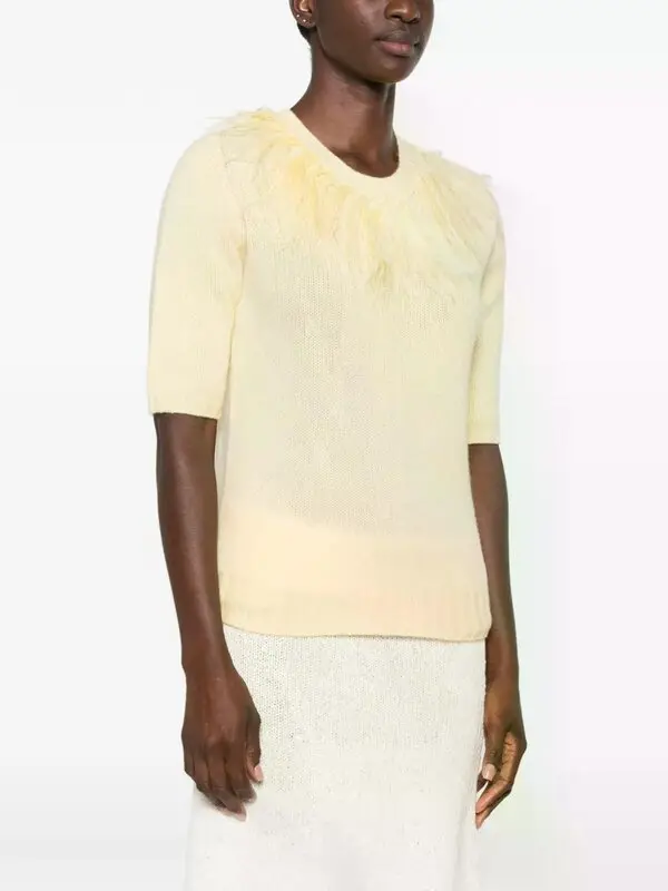 Fabiana Filippi Feather Trim Short Sleeve Sweater