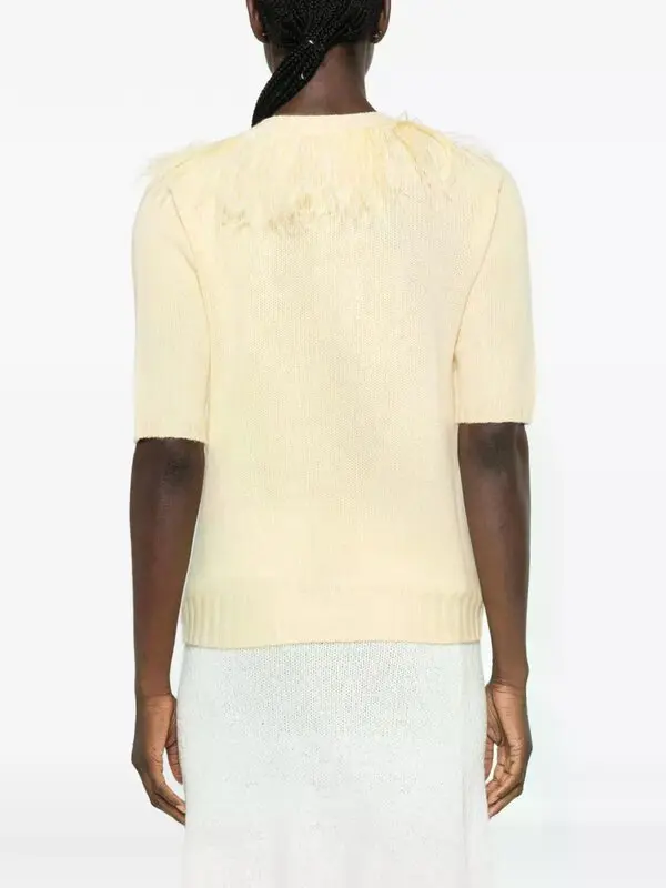 Fabiana Filippi Feather Trim Short Sleeve Sweater