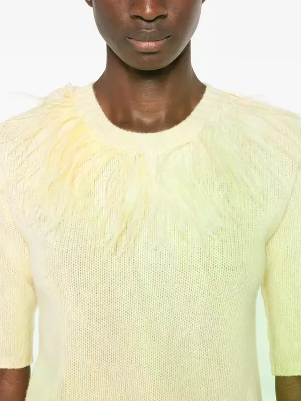 Fabiana Filippi Feather Trim Short Sleeve Sweater