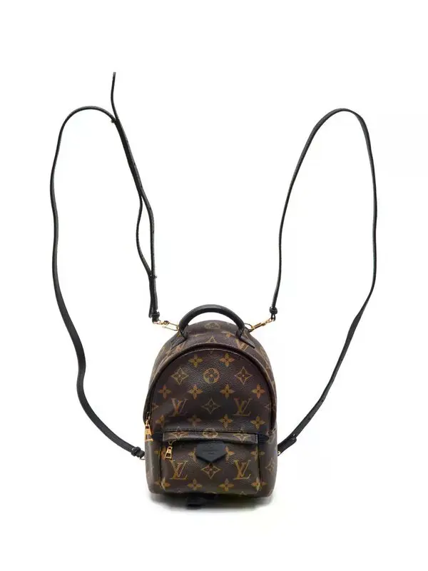 LOUIS VUITTON Mini Palm Springs Backpack - Brown