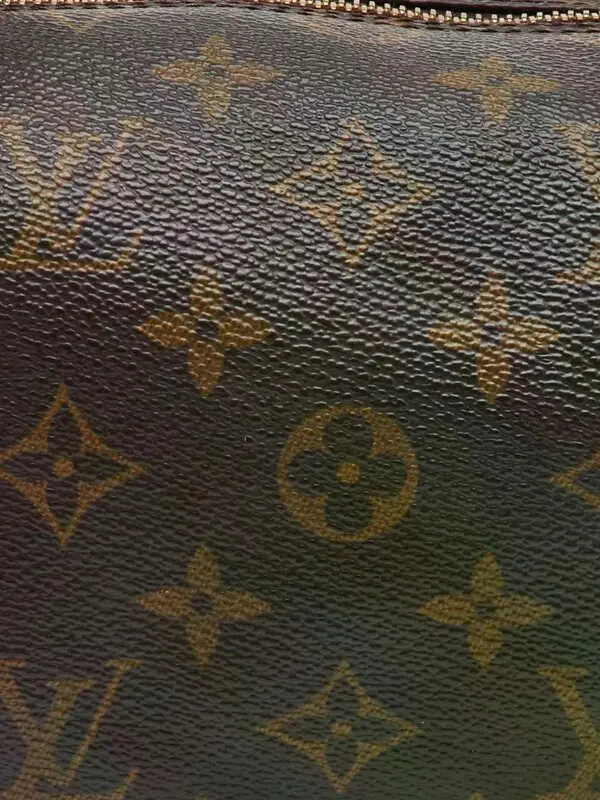 LOUIS VUITTON Papillon 26 Monogram Canvas Bag