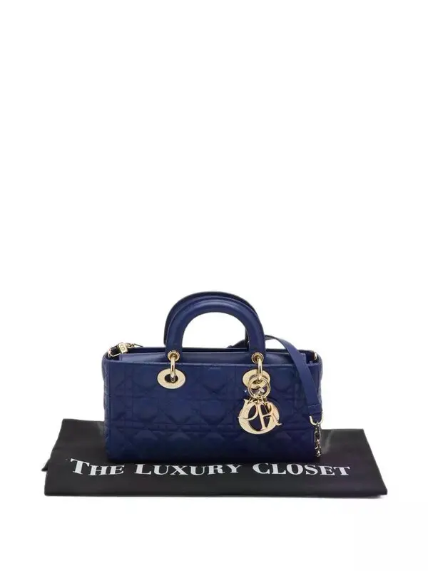 Dior 2022 Medium Lady D-joy Cannage Tote Bag