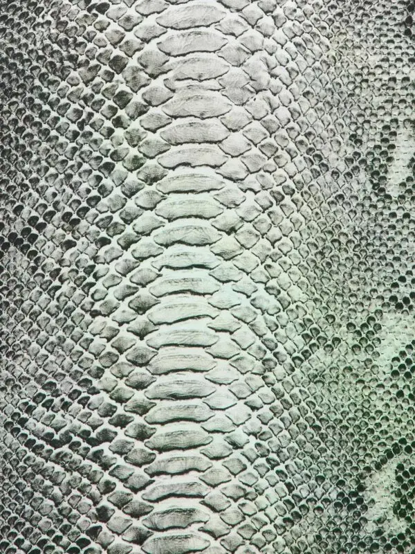 Stella McCartney 2010 Snakeskin-print Short-sleeve Mini Dress