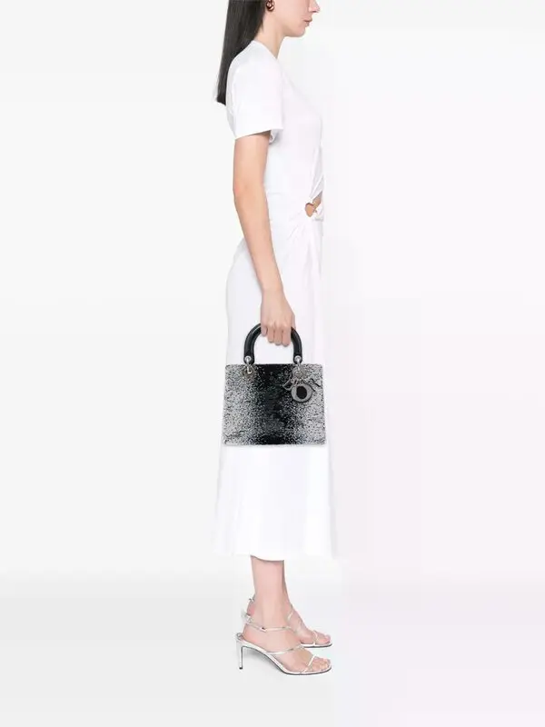 Dior 2013 Medium Sequins Lady Satchel