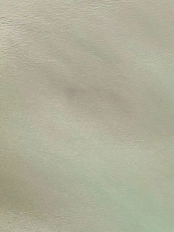 Miu Miu Ivy Leather Tote Bag